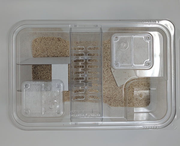 MC Innovive Trial Pack (20 Non-Irradiated Dividers) – MouseCubby